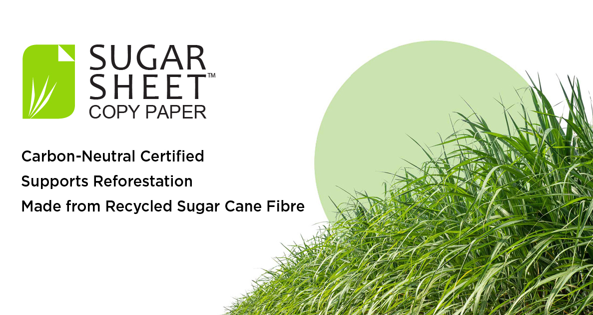 Sugar Sheet Copy Paper | Made 100% From Sugar Cane Waste
